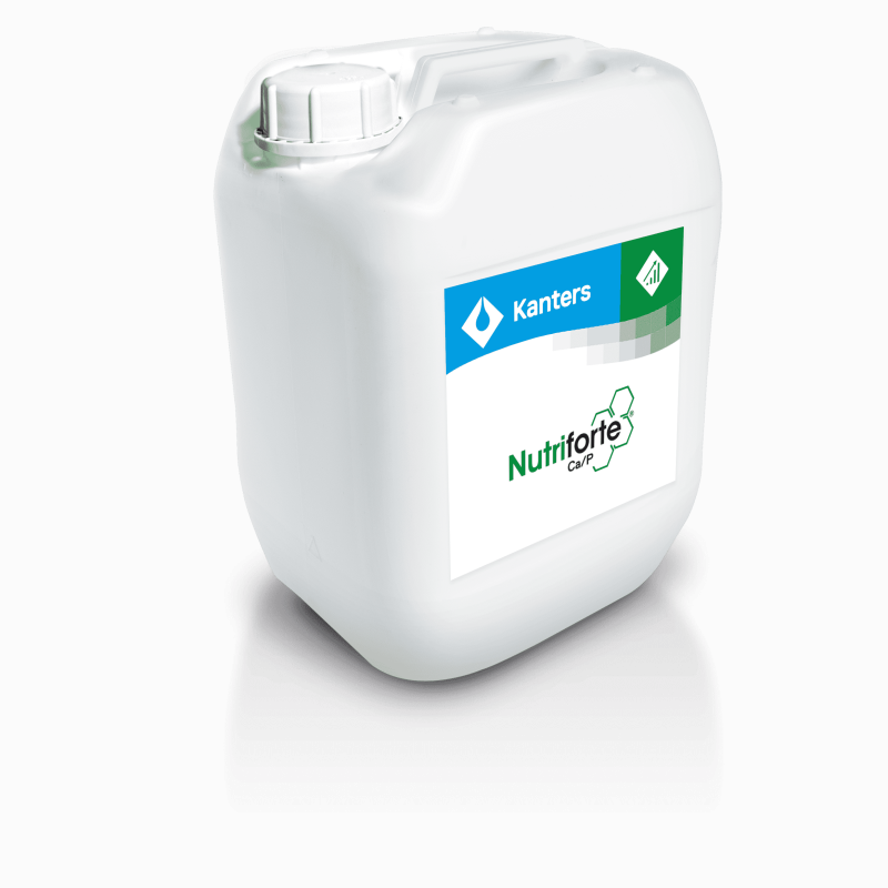 Nutriforte Ca/P - Kanters